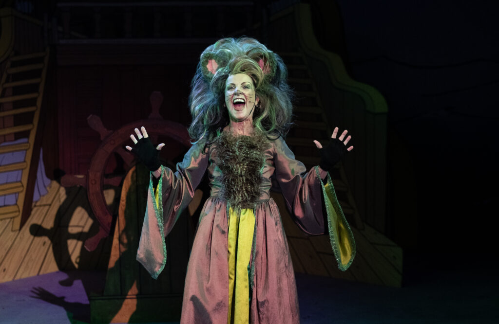 Dick Whittington opens to rave reviews! | The Met